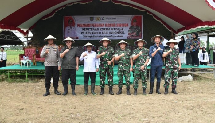 Penanaman Jagung di Lahan Korem 131/Santiago, Kolaborasi Korem 131 ...
